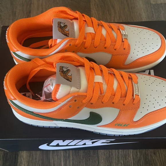 Nike | Shoes | Famu Dunks | Poshmark
